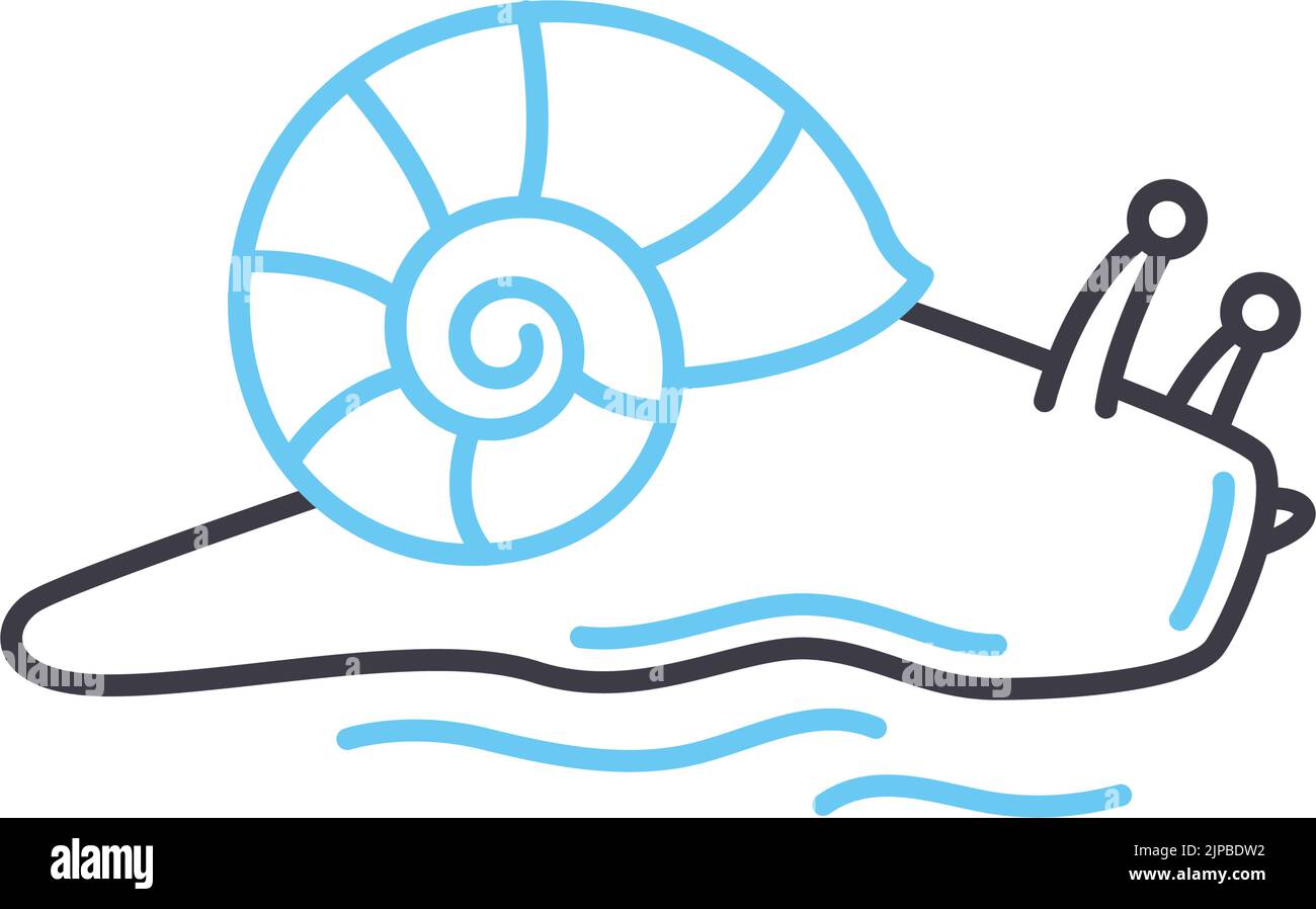 snail shell line icon, outline symbol, vector illustration, concept ... snail shell line icon, outline symbol, vector illustration, concept ...