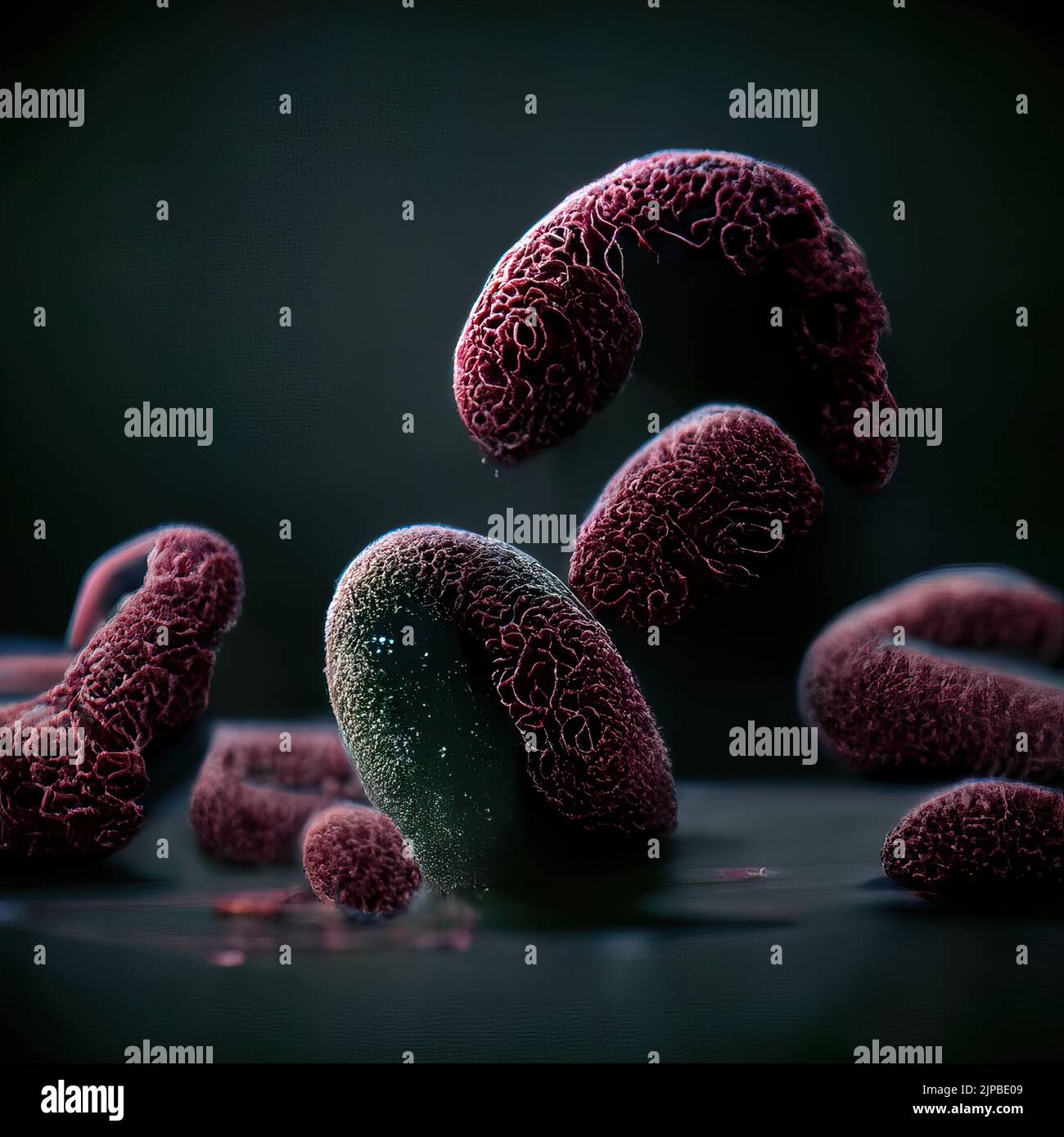 Gut microflora bacteria, illustration Stock Photo - Alamy