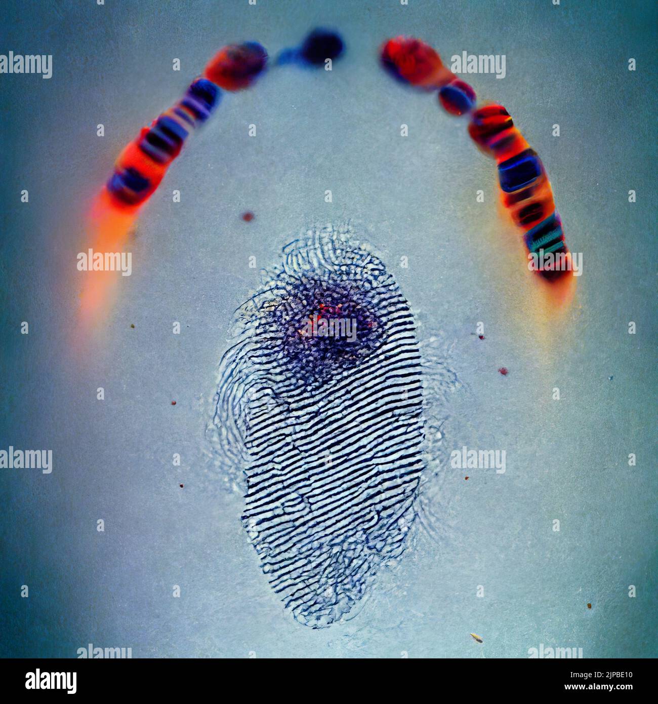 DNA profiling and genetic fingerprinting, illustration Stock Photo - Alamy