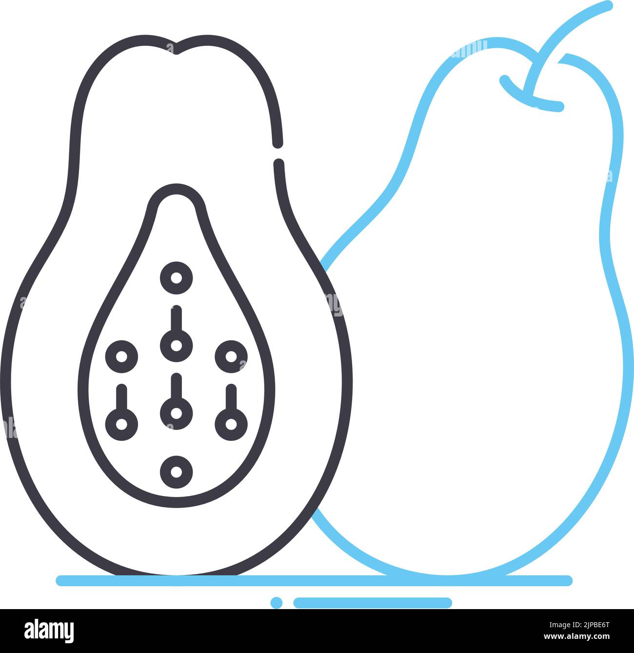papaya line icon, outline symbol, vector illustration, concept sign ...