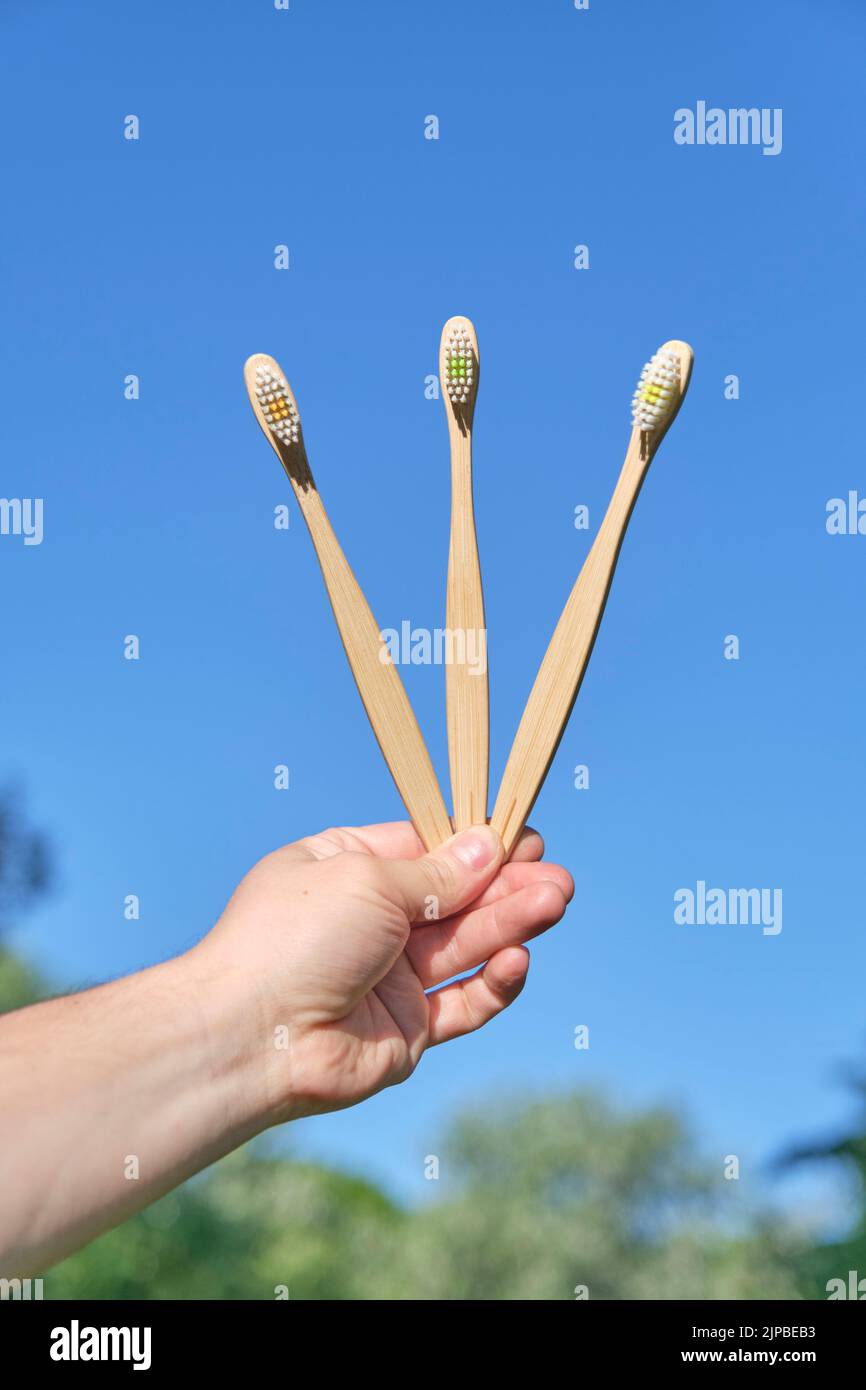 Hand holding three ecological bamboo toothbrushes outdoors. Concepts ...
