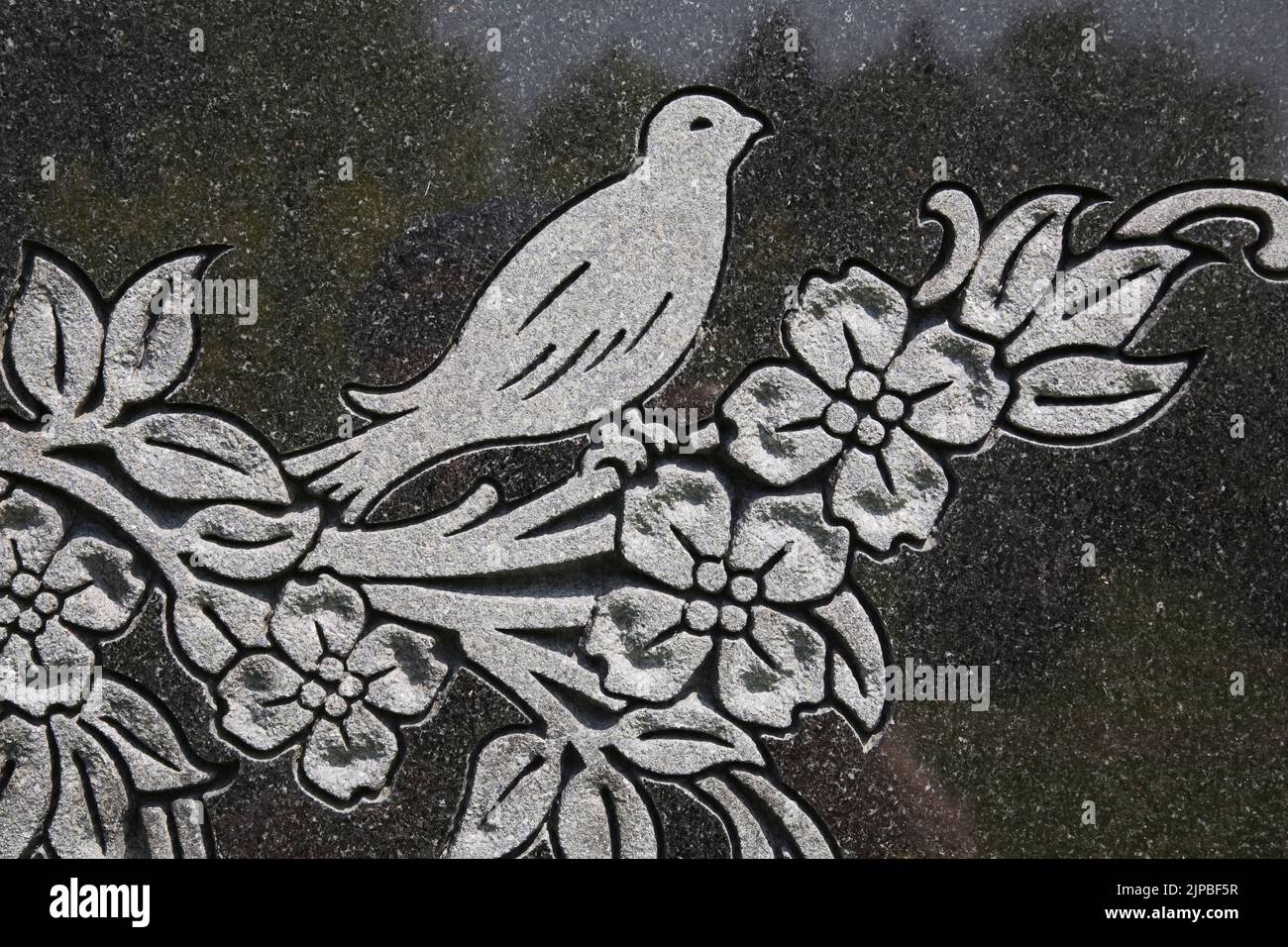 Mourning dove depicted on memorial monument in cemetery Stock Photo - Alamy