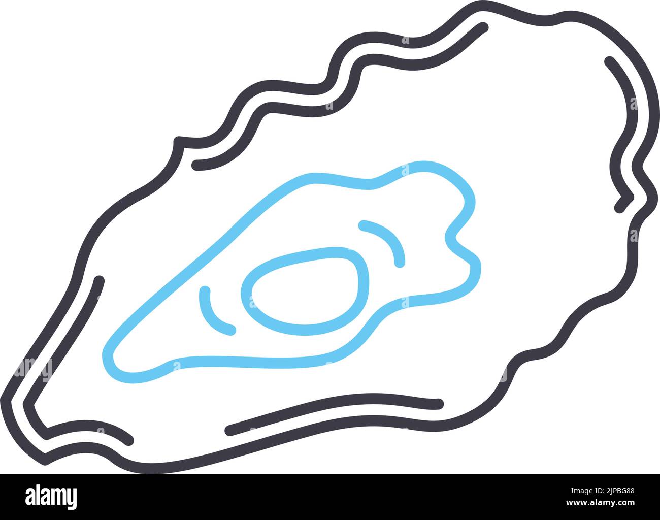Oyster shell vector hi-res stock photography and images - Alamy