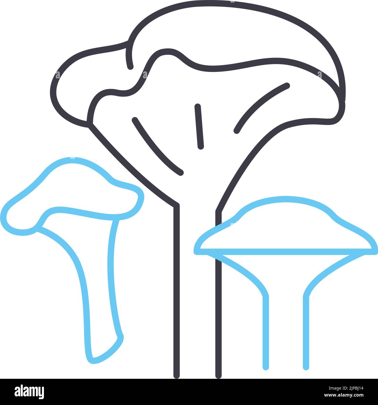 mushrooms line icon, outline symbol, vector illustration, concept sign ...