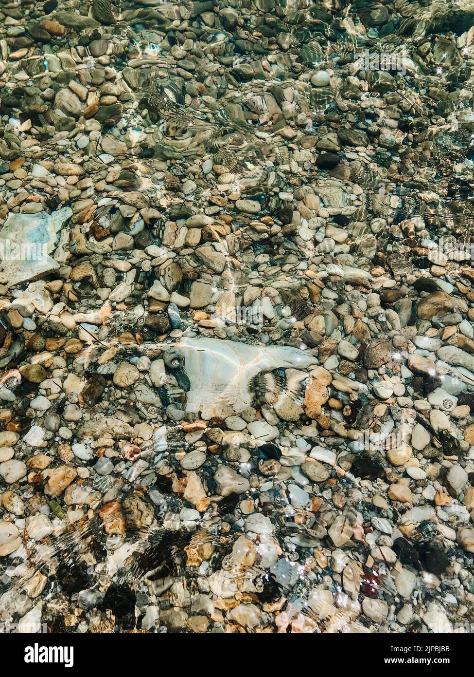 Close up sea waves stones shells beach summer day. top view above ...