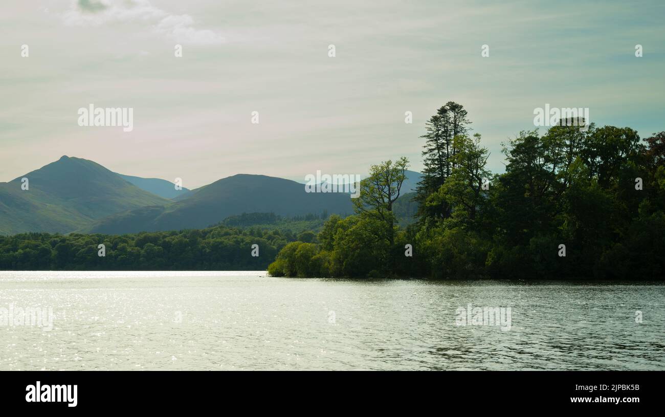 Derwent forest hi-res stock photography and images - Alamy
