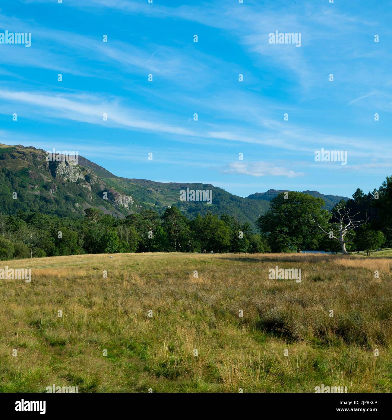 Lake District Meadow Stock Photo - Alamy
