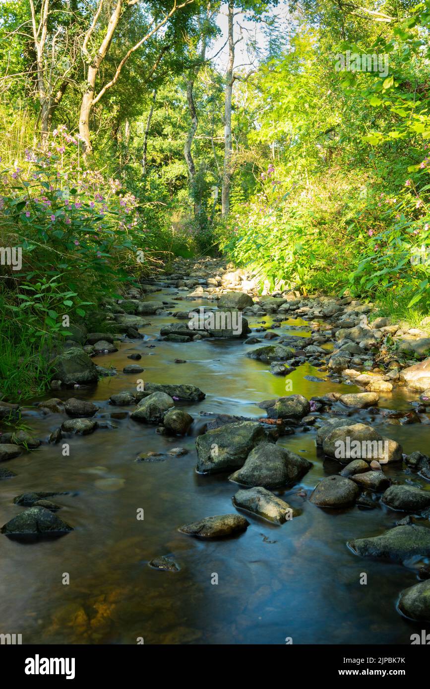 Smooth stream hi-res stock photography and images - Alamy
