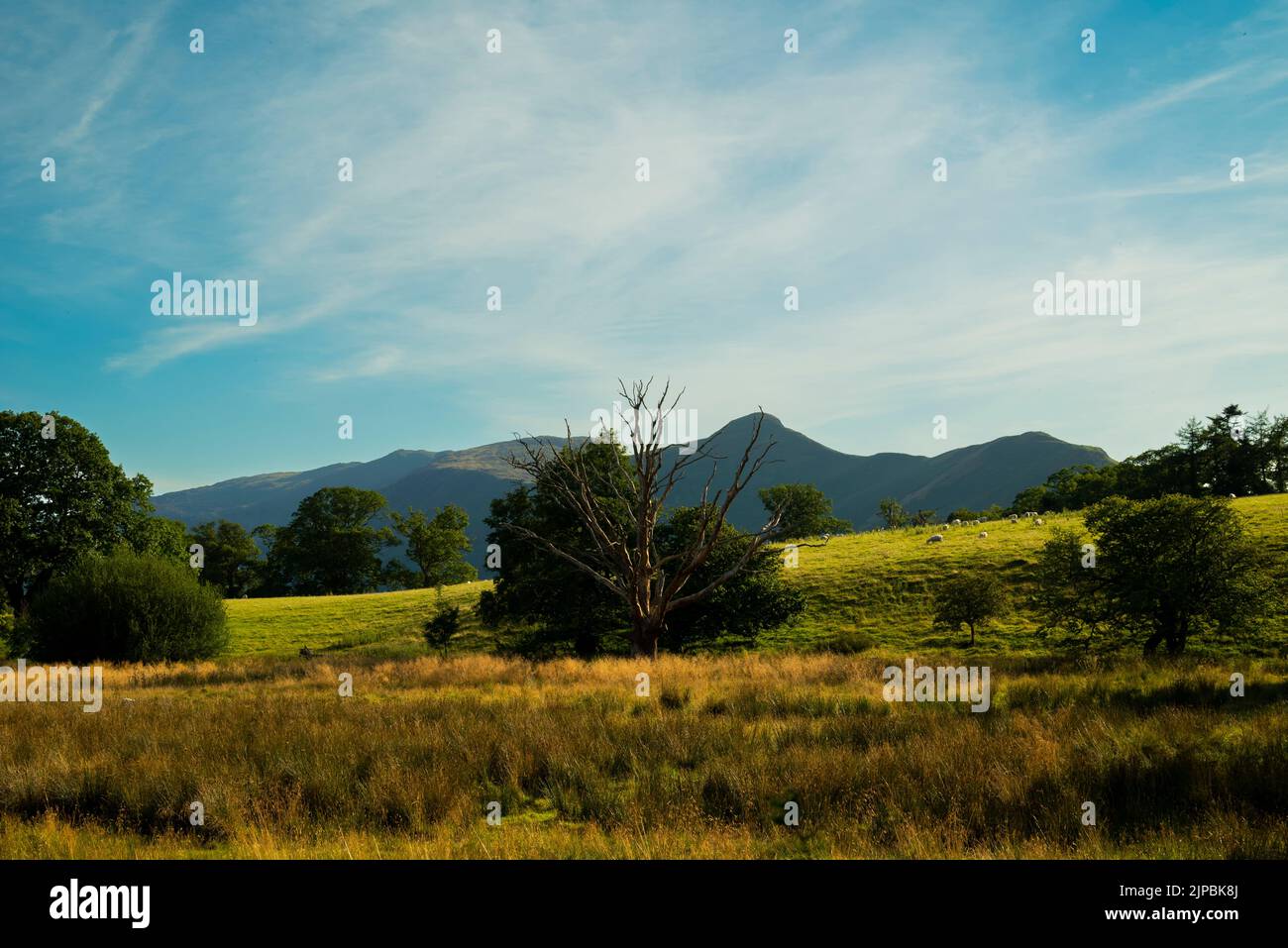 Lake District Meadow Stock Photo - Alamy