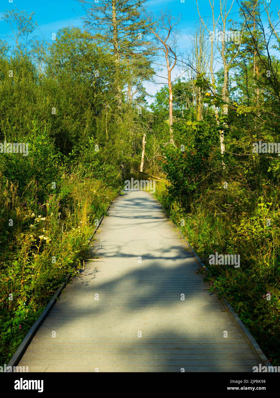 Wet walkway hi-res stock photography and images - Alamy