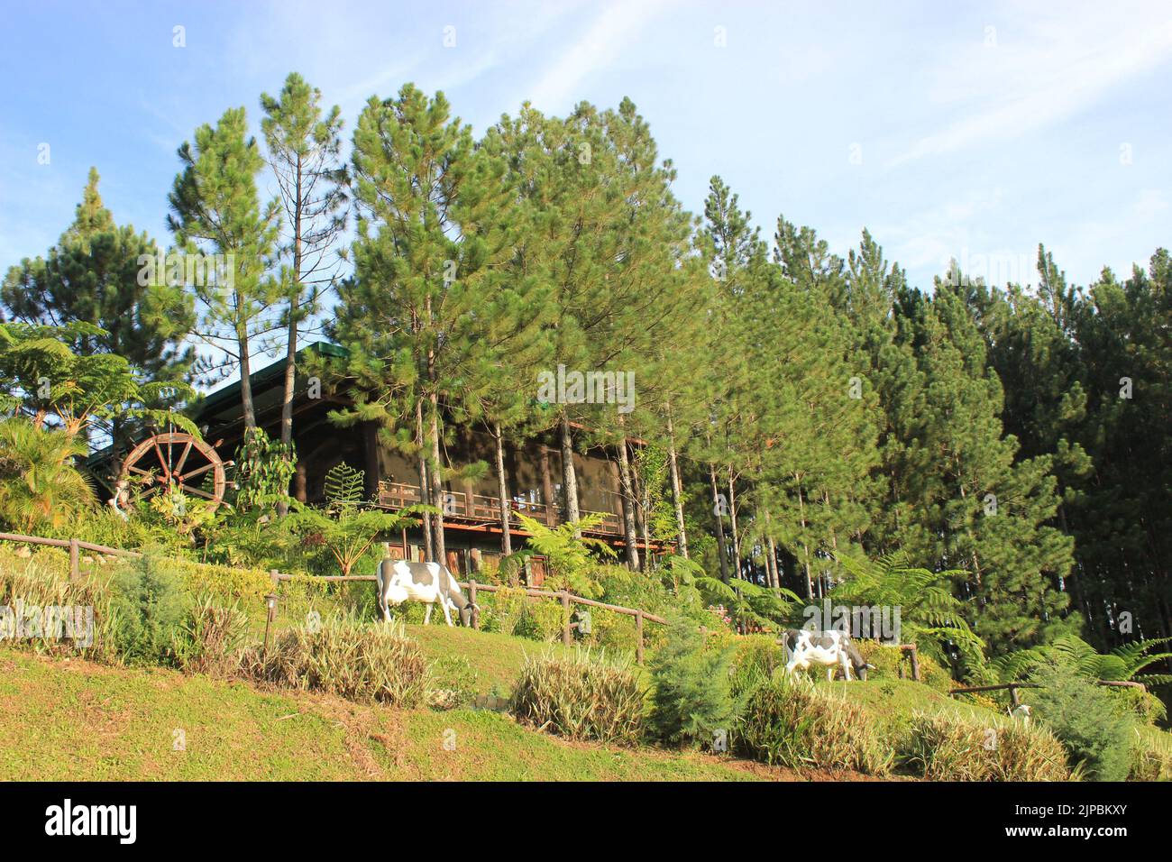 Philippines timber hi-res stock photography and images - Alamy