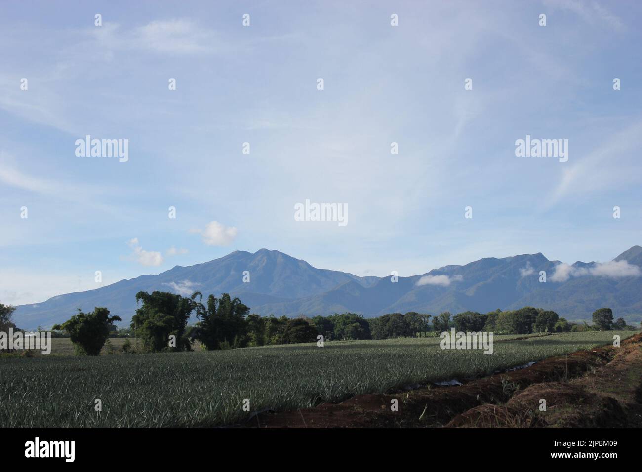 Side view from southeast hi-res stock photography and images - Alamy