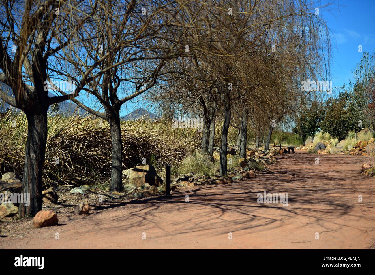 Cananea Sonora Mexico. (Photo By Israel Garnica Stock Photo - Alamy