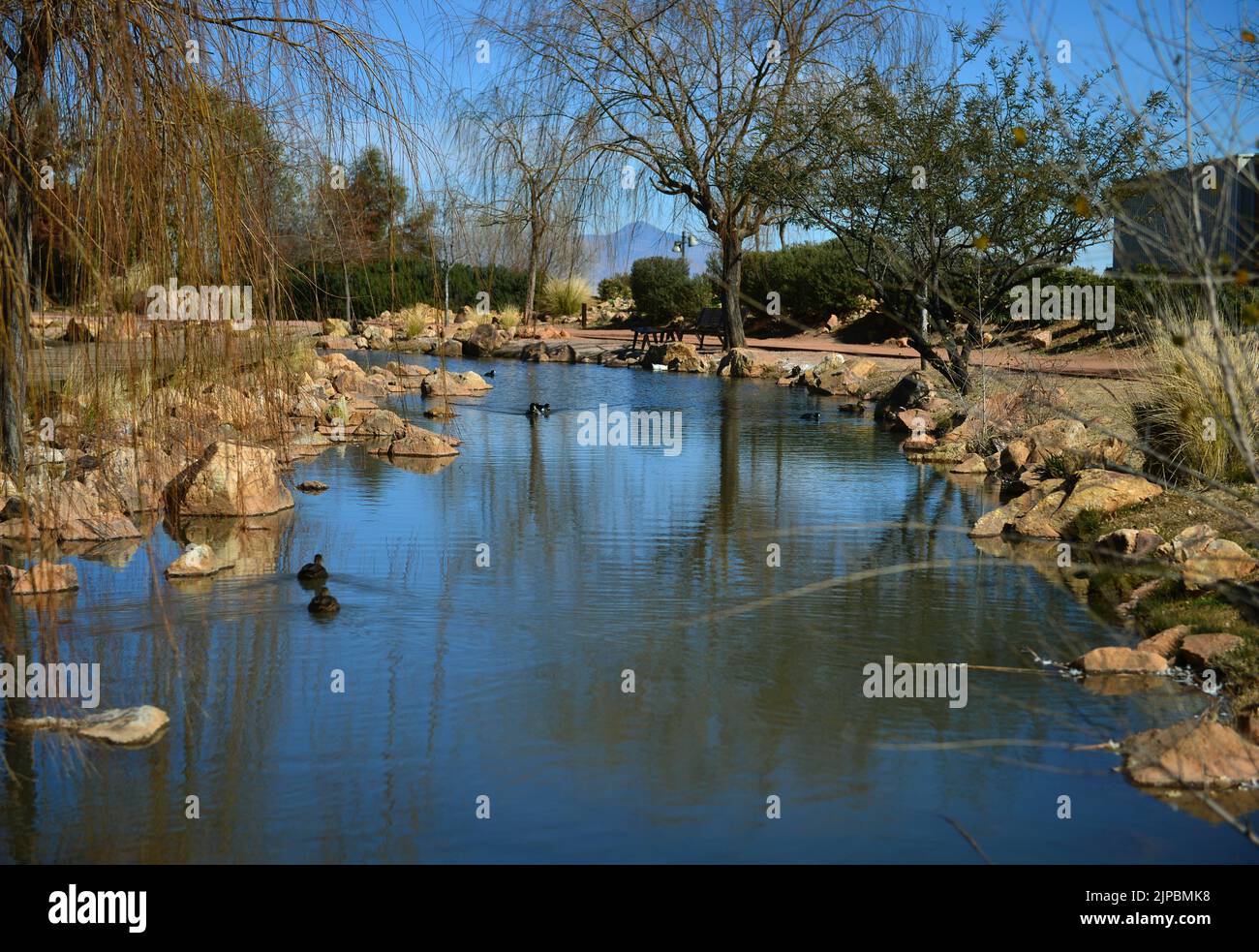Cananea Sonora Mexico. (Photo By Israel Garnica Stock Photo - Alamy