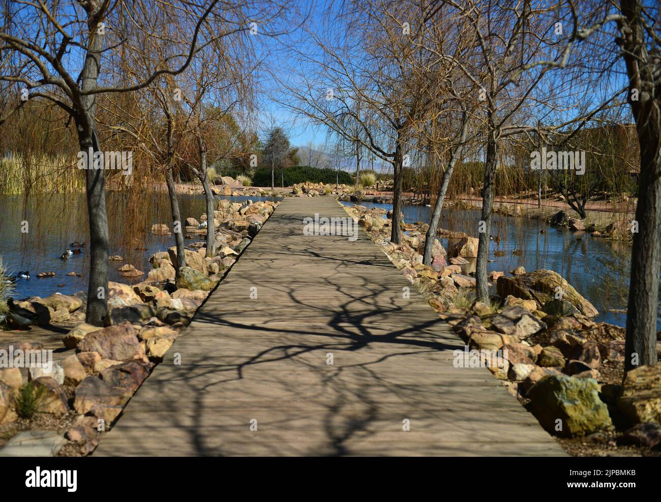 Cananea Sonora Mexico. (Photo By Israel Garnica Stock Photo - Alamy