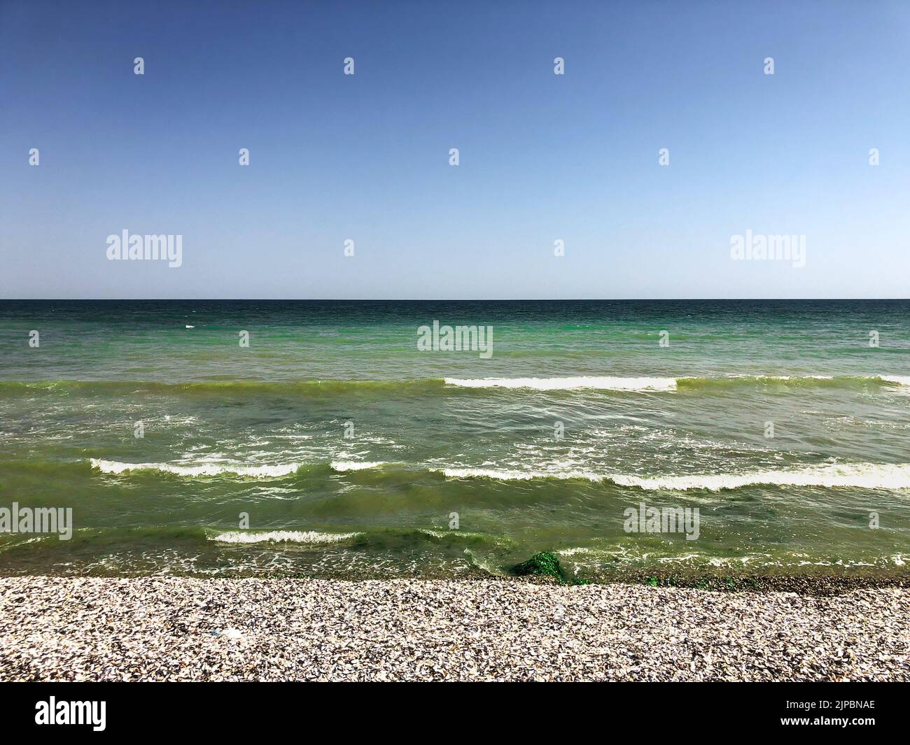 Sea green aquamarine waves line sunny seashell beach. wave ocean foam ...