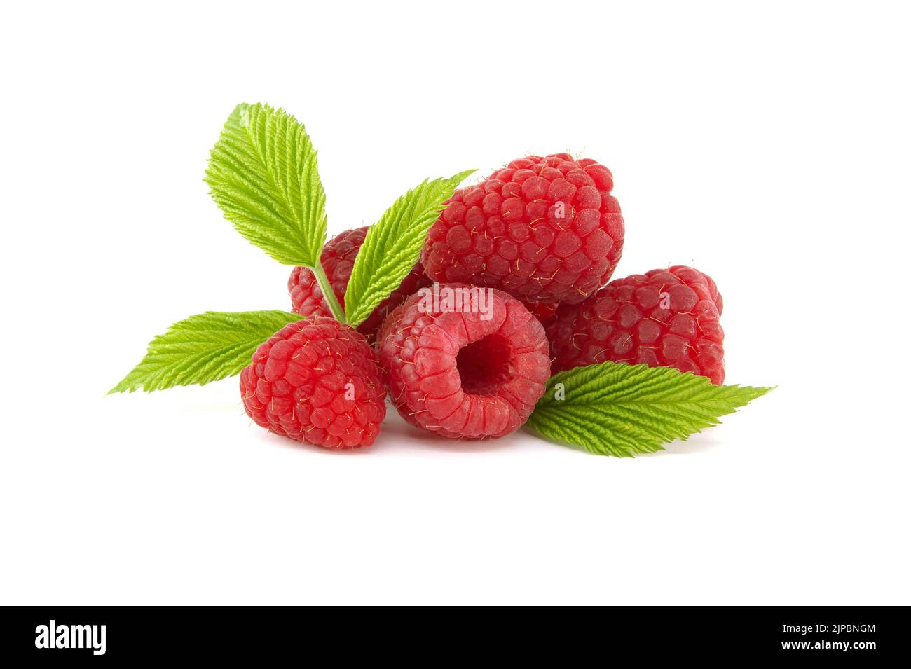 Red ripe raspberry berries with green leaves. Side view, isolated on ...