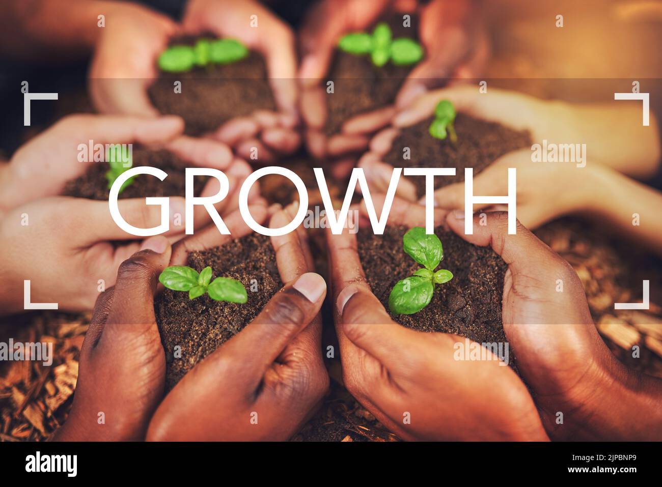 Success doesnt just happen, youve got to nurture it. a group of people ... Success doesnt just happen, youve got to nurture it. a group of people ...