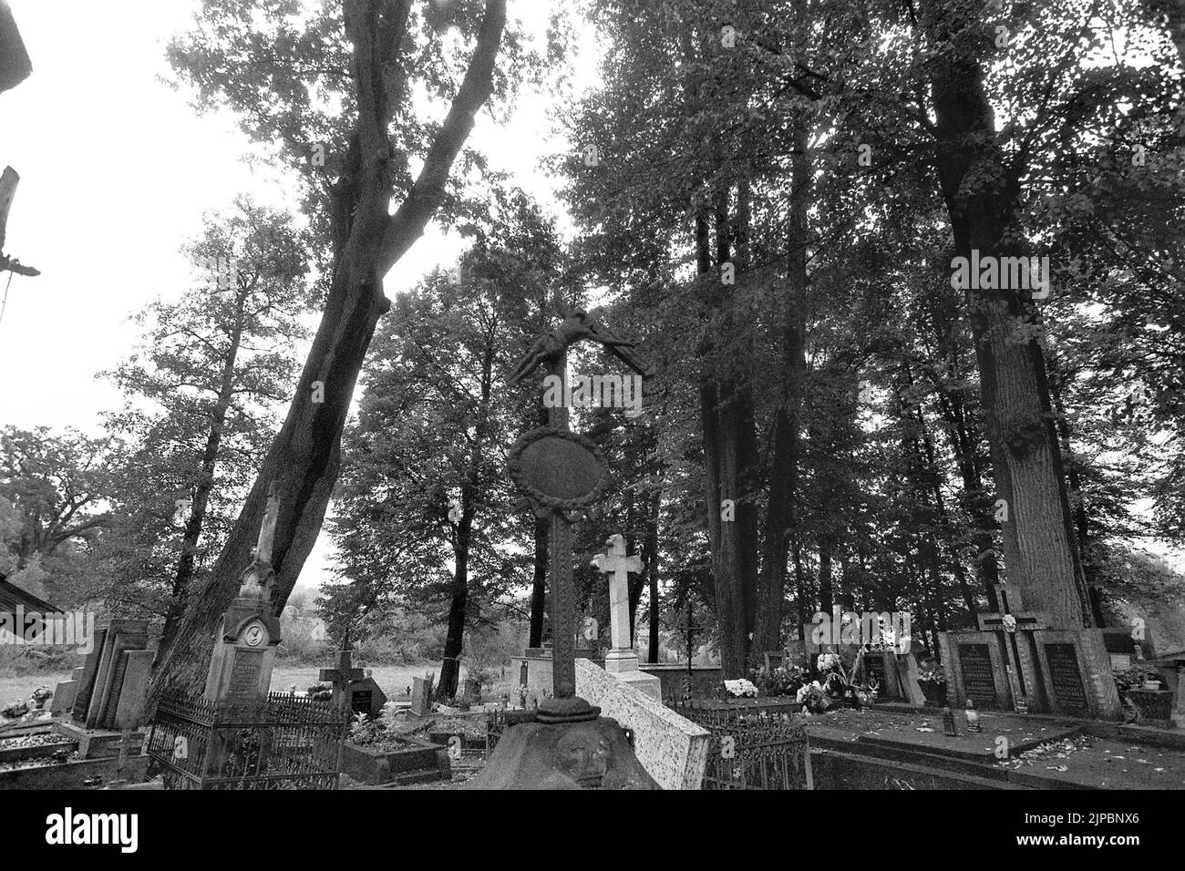 Poland/.Polish country life / Historical images of polish vilage life ...