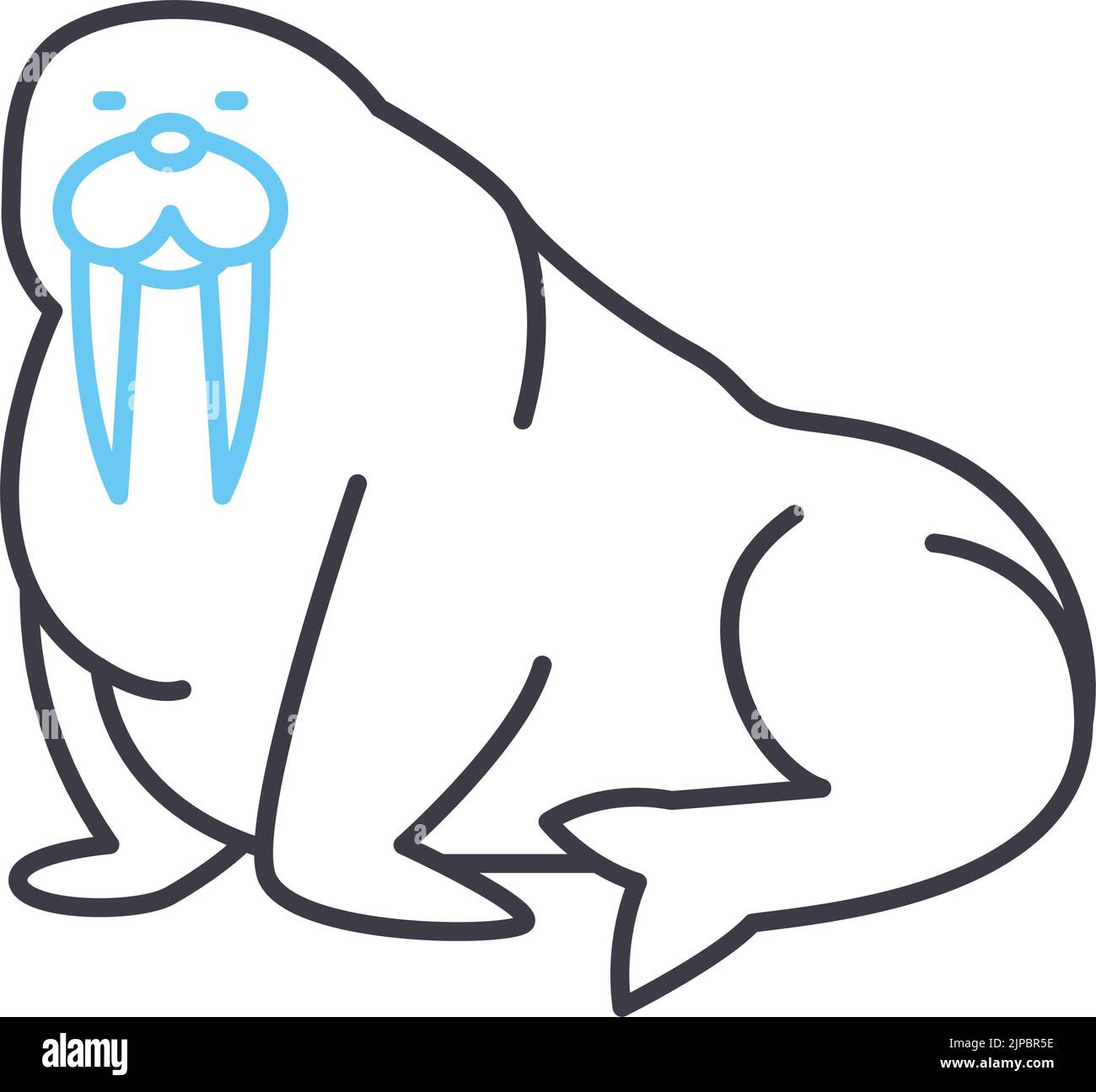 walrus line icon, outline symbol, vector illustration, concept sign ...