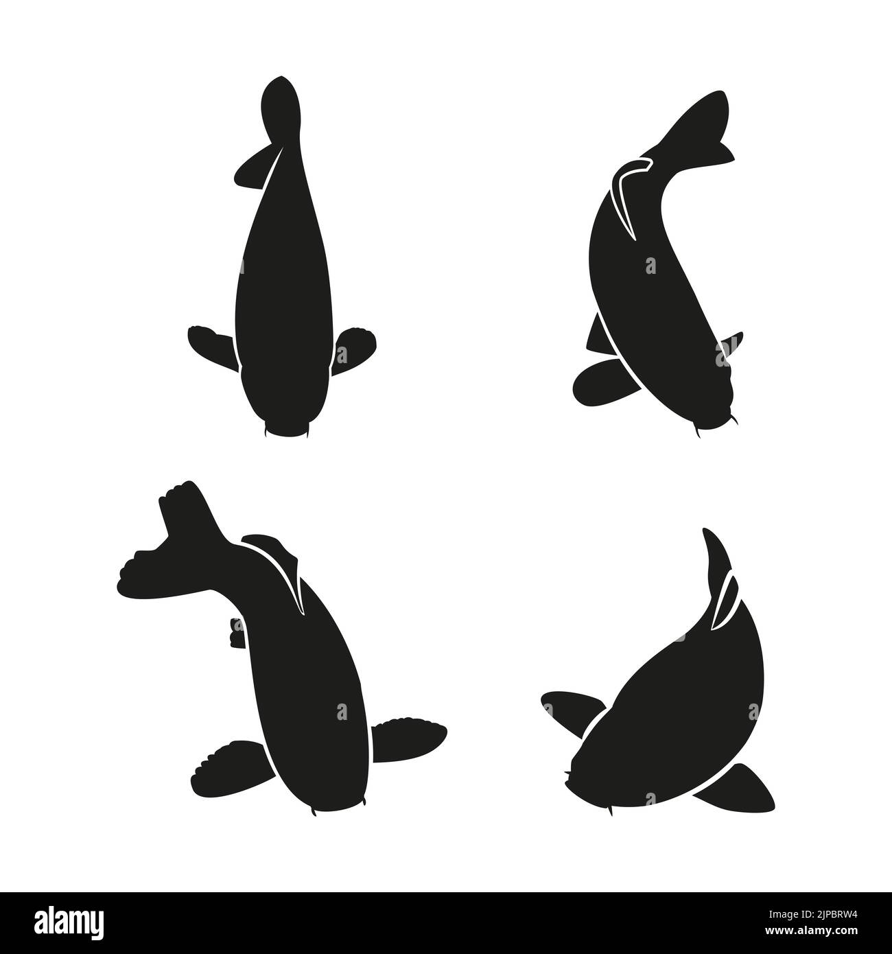 Hand drawn animals silhouette carp fish set Vector illustration Stock ...