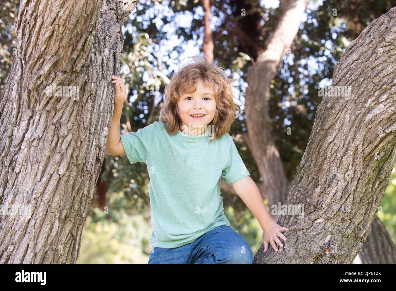 Little child boy trying to climb a tree. Kids climbing a tree. Happy ...