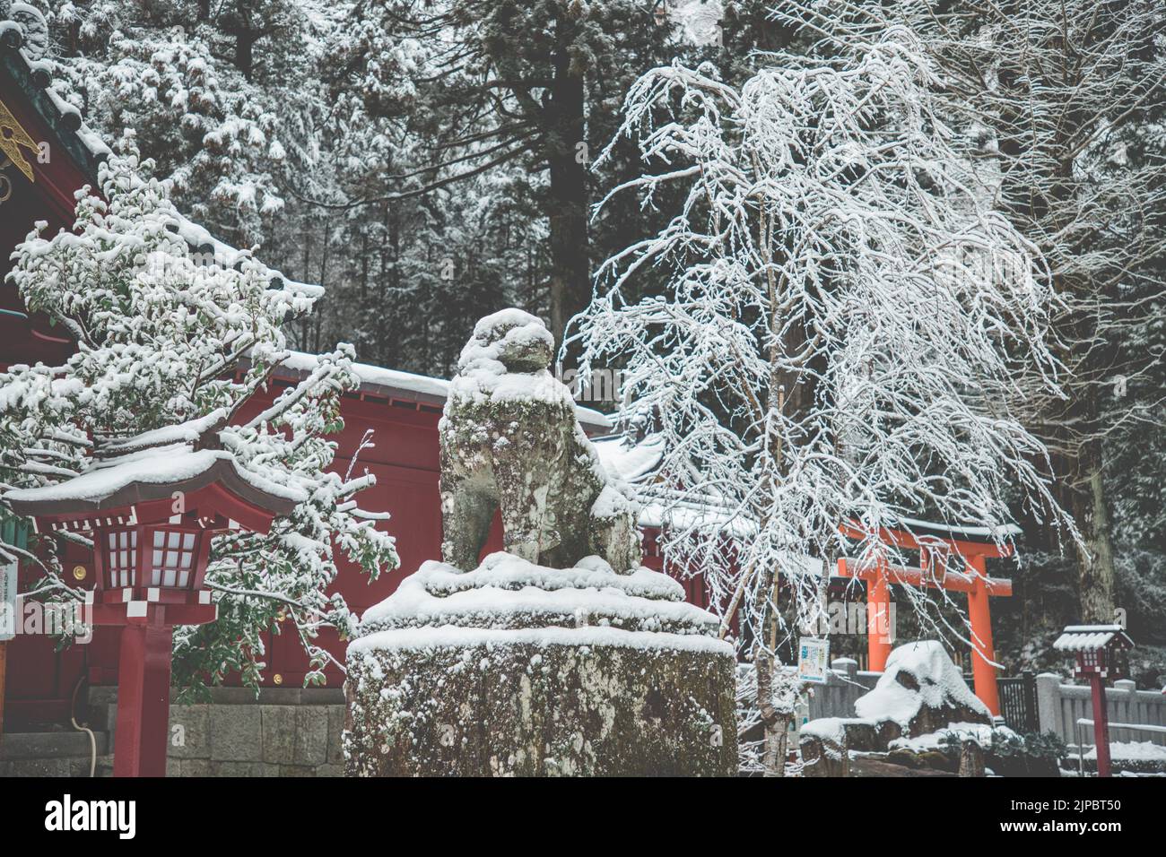 Japan hakone hiking hi-res stock photography and images - Alamy