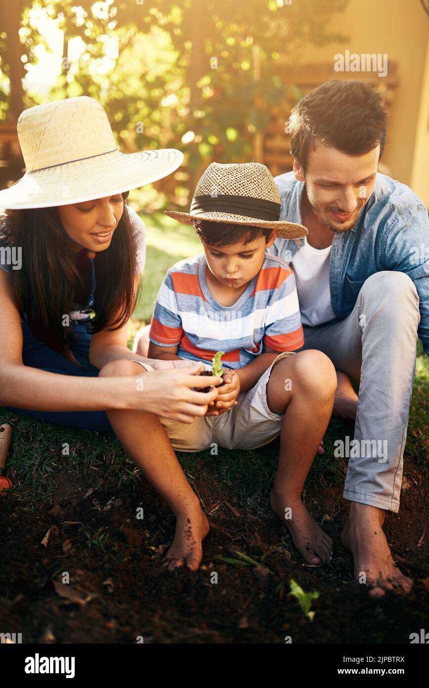 From the onset, children are inquisitive about nature. a family ...