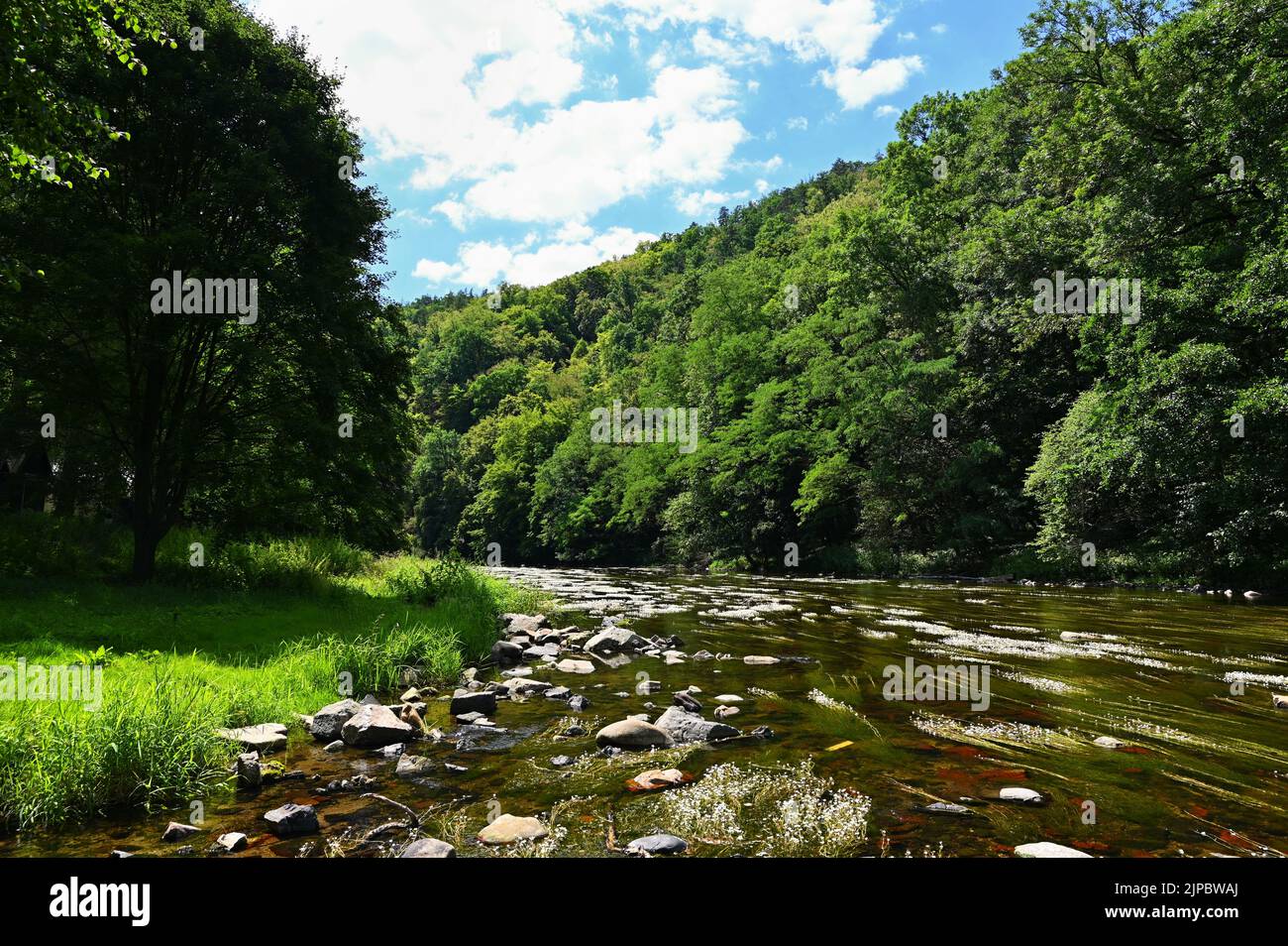 Beautiful landscape with summer nature. Jihlava River Valley - South ...