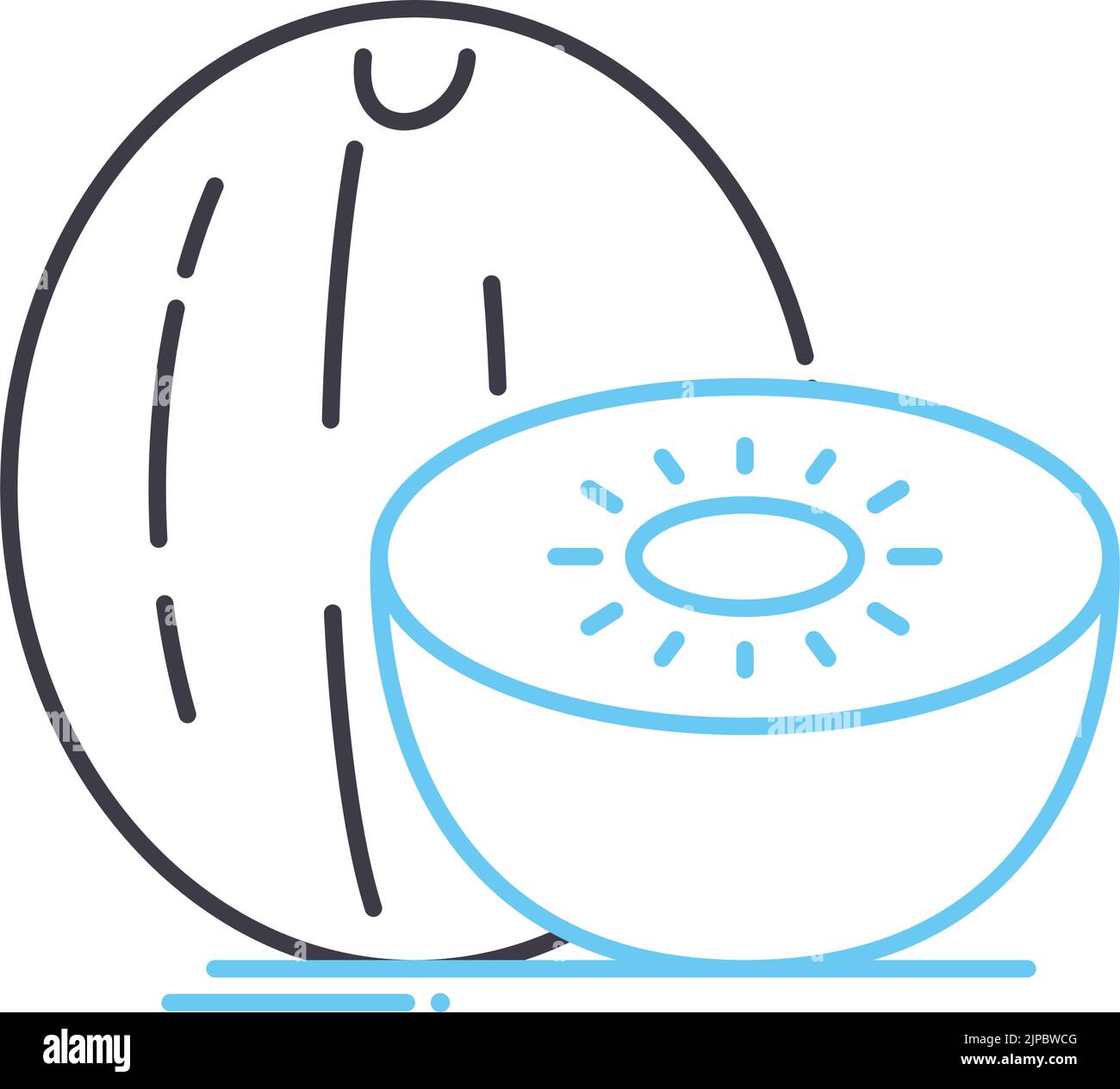 melon line icon, outline symbol, vector illustration, concept sign ...