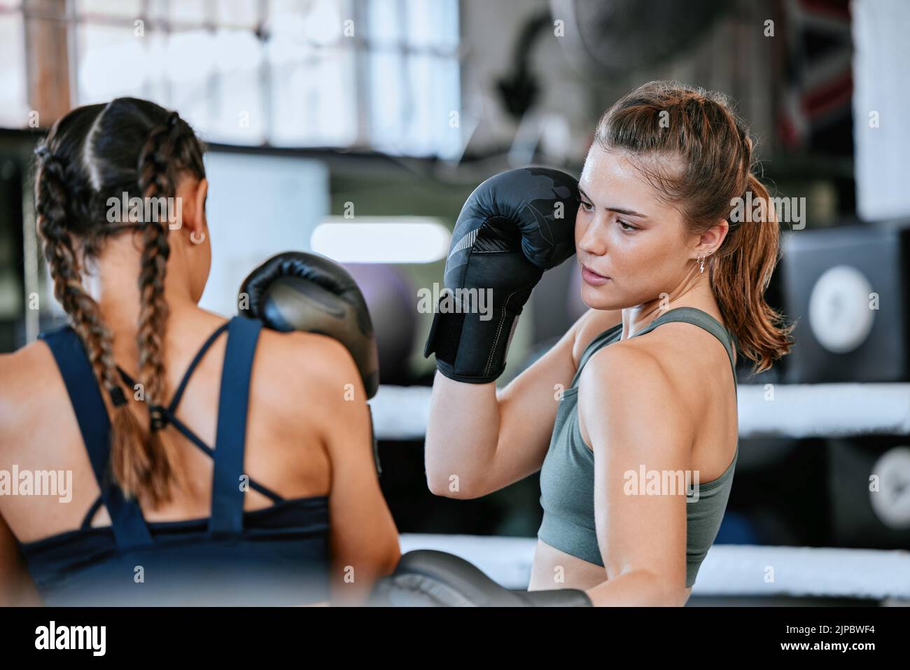 Healthy, athletic and sporty professional woman boxers training for a ...