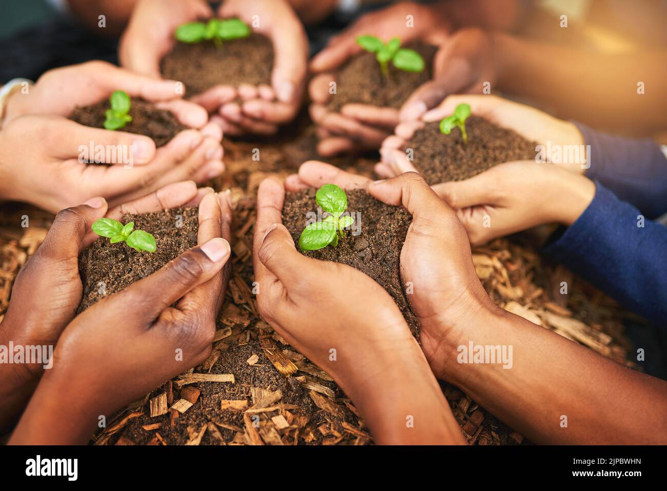 Success starts with a tiny little seed. a group of people holding ...