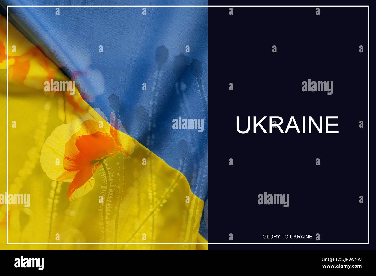 National flag of ukraine yellow blue and red poppy flowers in poly in ...