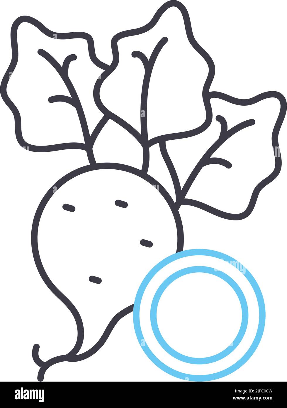 Radish Vegetable Line Icon Outline Symbol Vector Illustration