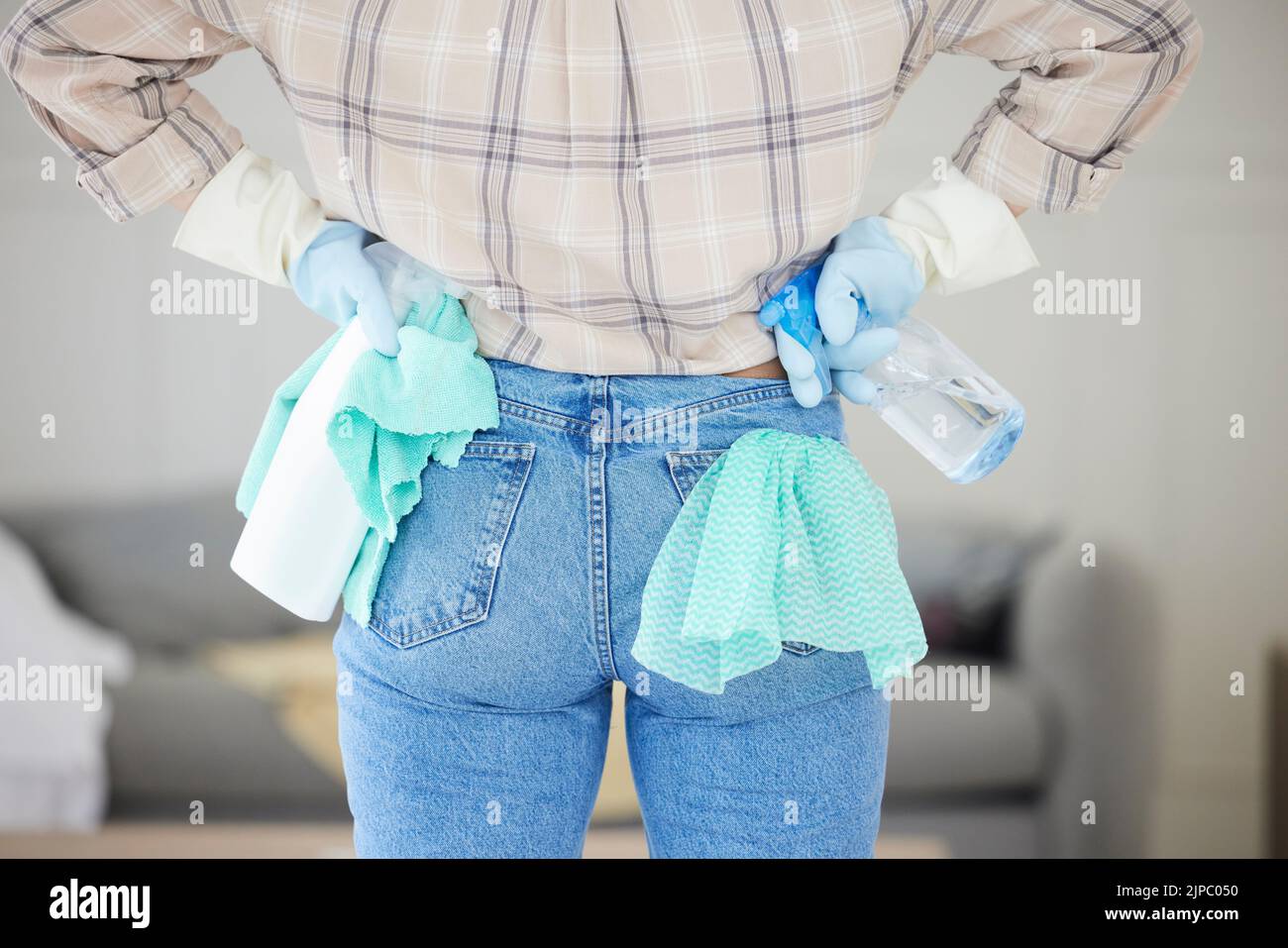 Hygiene cleaning, chores and sanitize for a clean and fresh home ...
