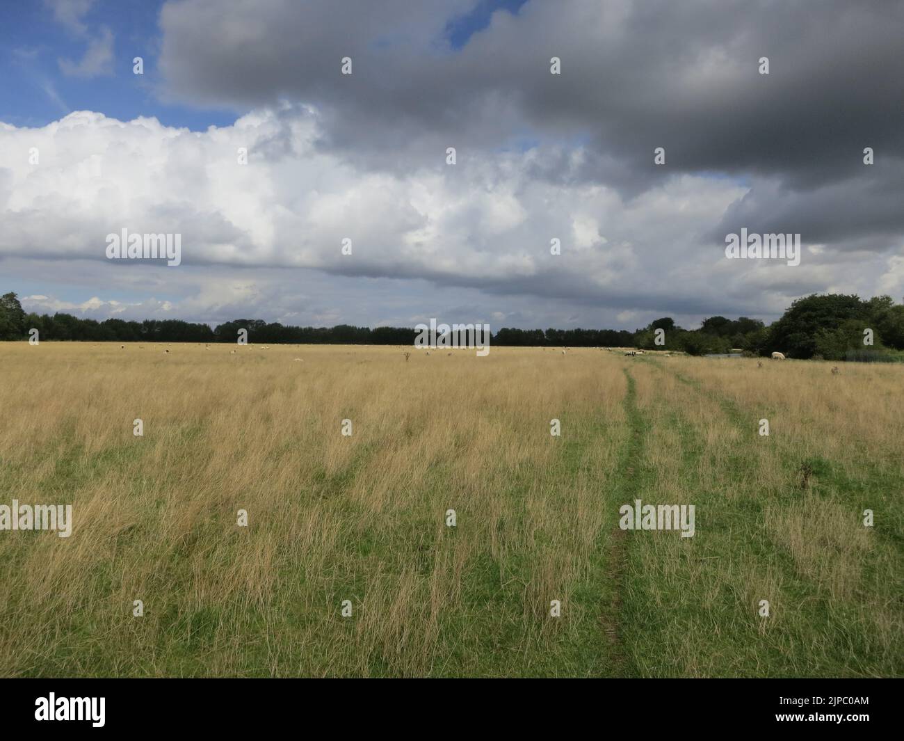 Thames Path National Trail. Long-distance trail. The River Thames ...
