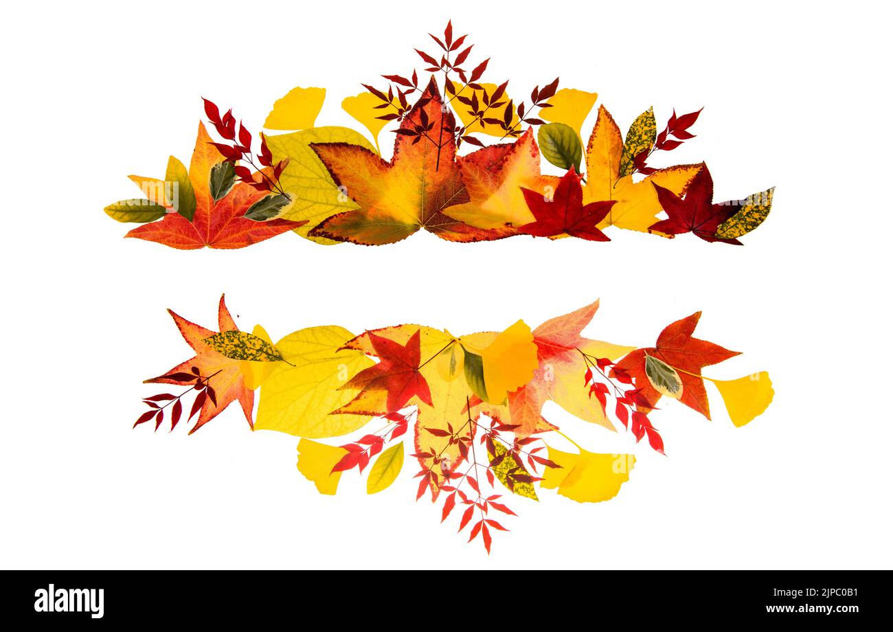 Autumn leaves background. Autumn fall frames borders. Fall leaf banner ...