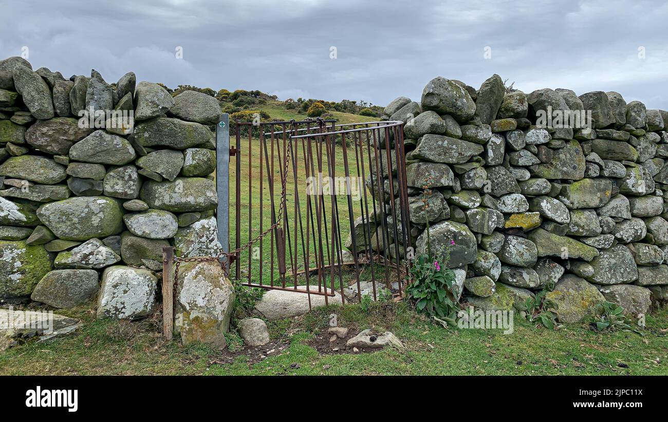 A typical farm gate and stone wall for livestock in rural welsh ...