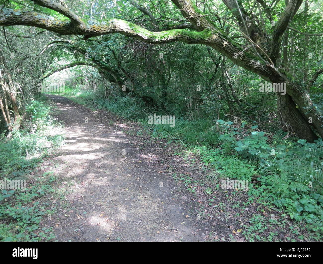 Thames Path National Trail. Long-distance trail. The River Thames ...