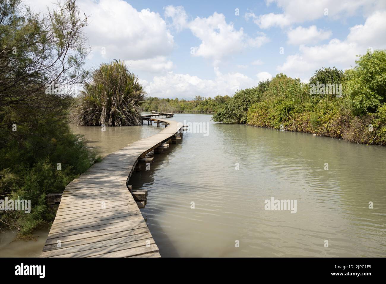 A wooden footbridge crossing the water, Ein Afek nature reserve, Israel ...