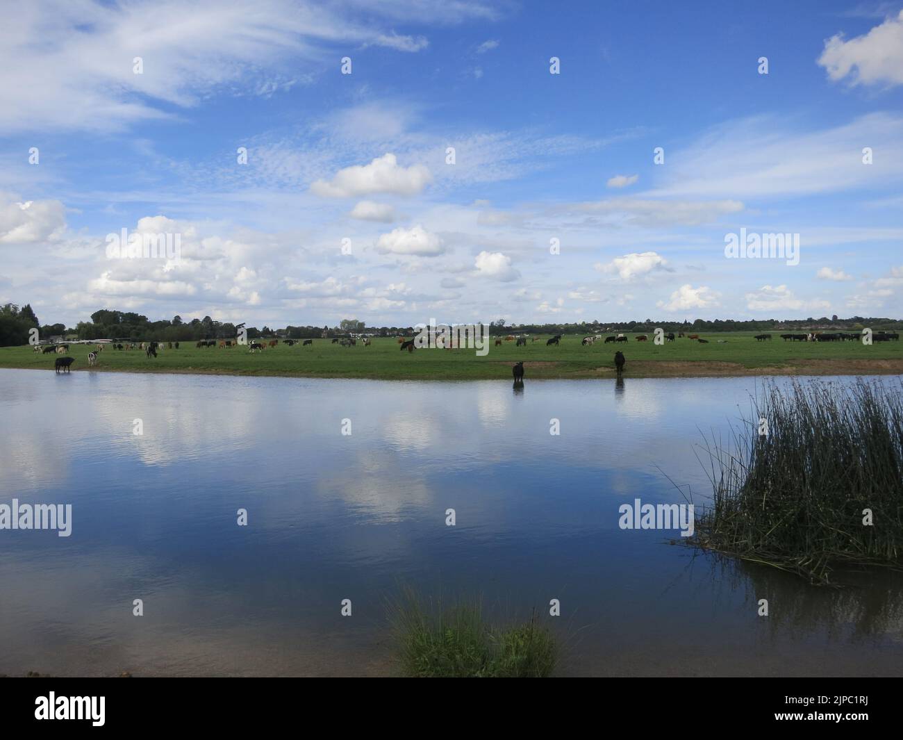 Thames Path National Trail. Long-distance trail. The River Thames ...