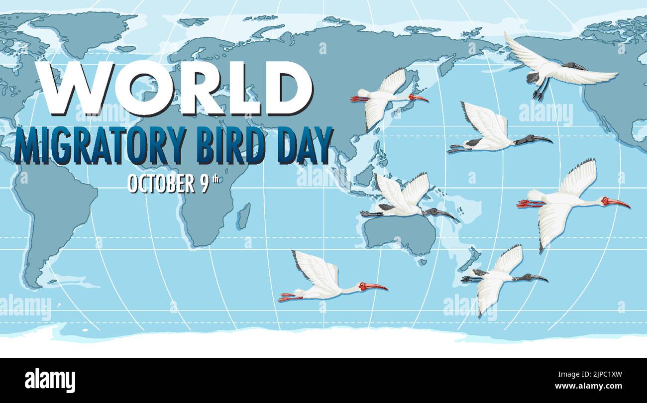 World Migratory Bird Day Banner Template illustration Stock Vector ...