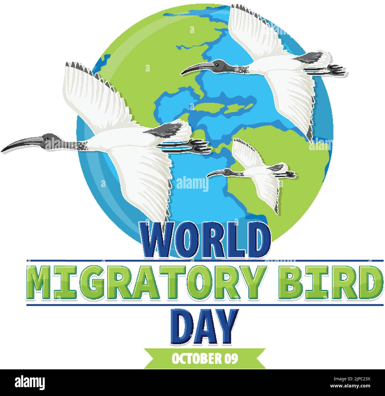 World Migratory Bird Day Banner Design illustration Stock Vector Image ...