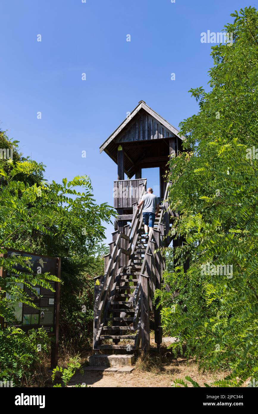 Man climbing the watch tower with view on green belt and river Elbe ...