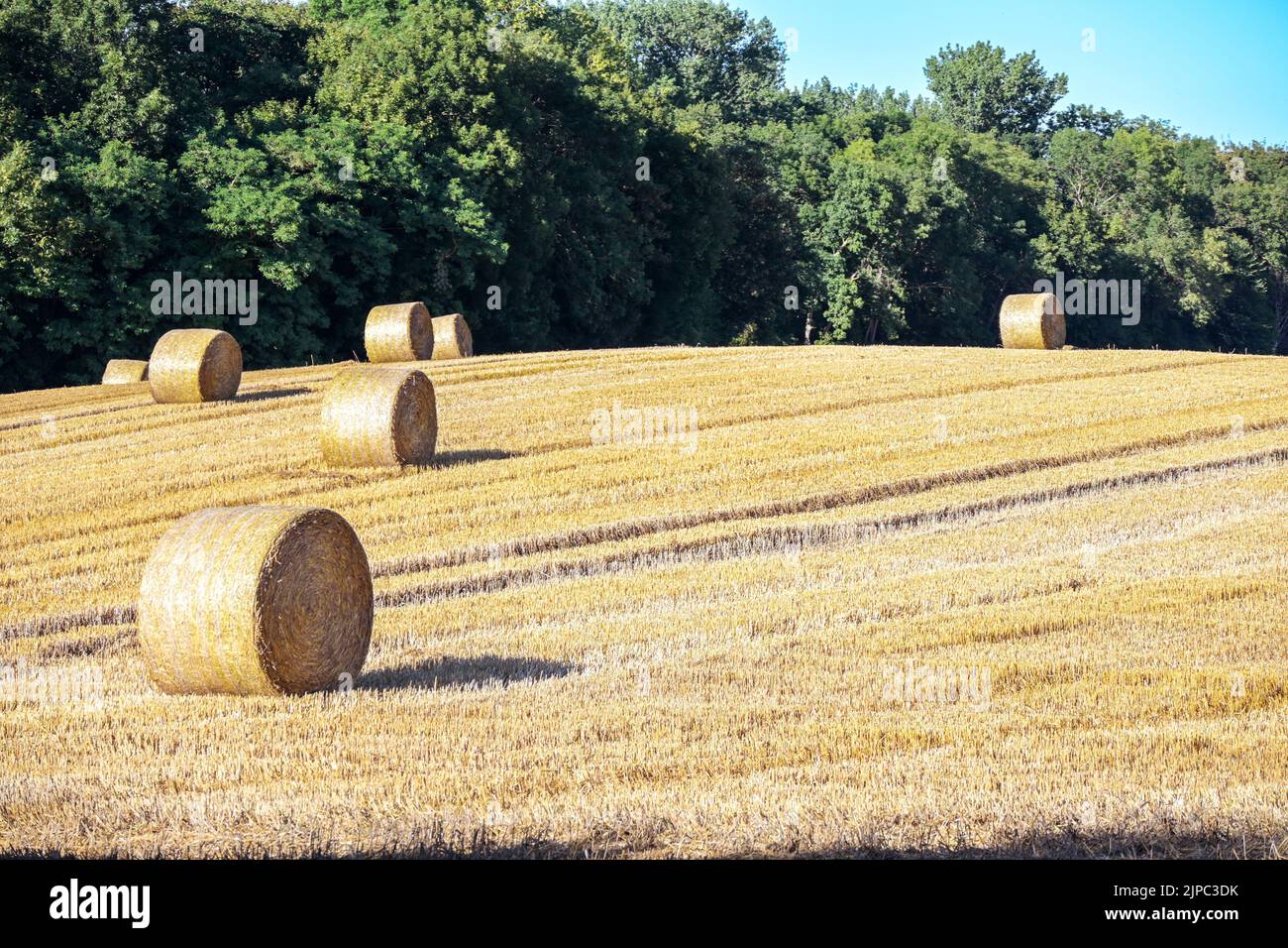 Round bales on stubble hi-res stock photography and images - Alamy