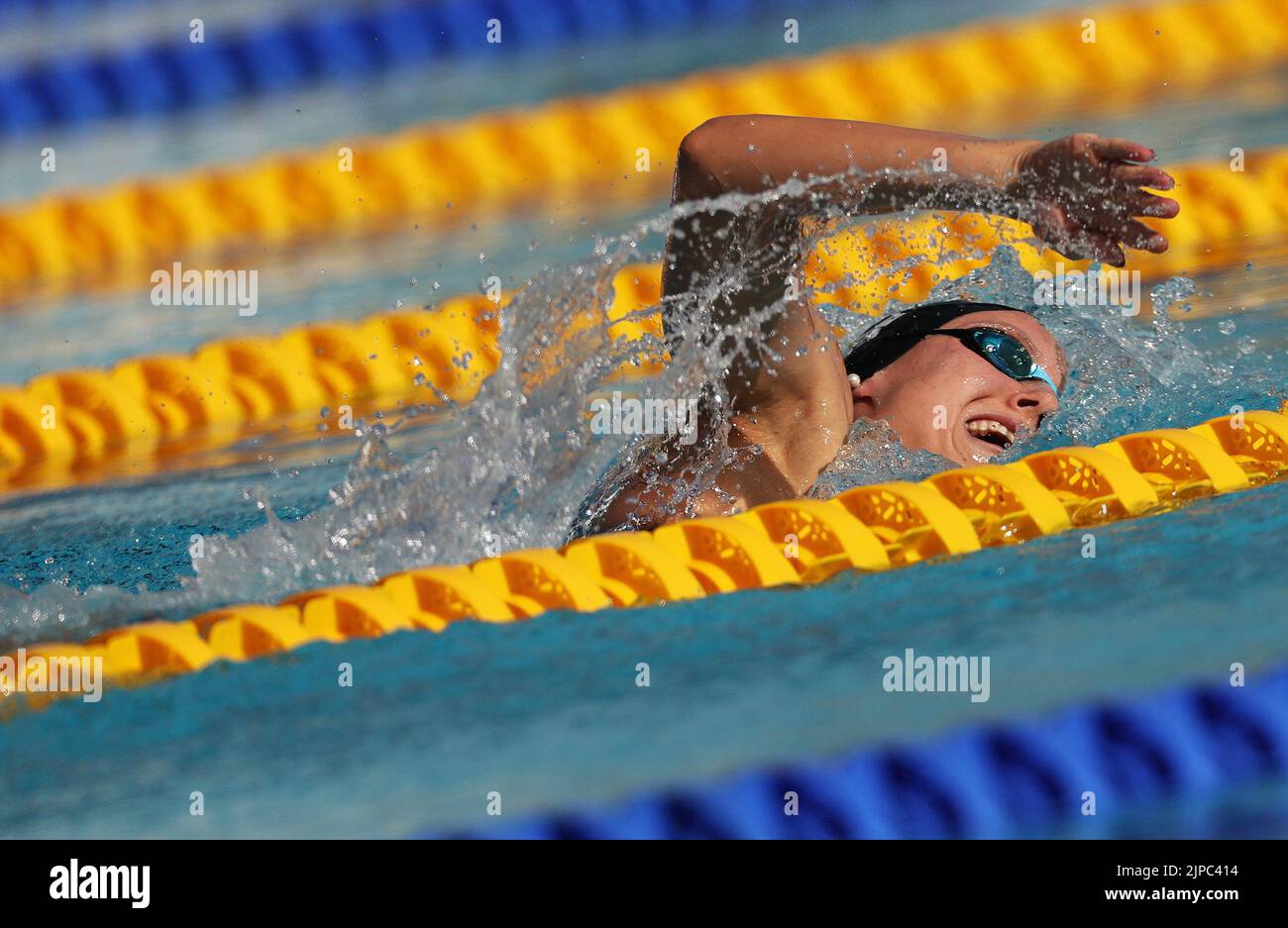 Gose isabel hi-res stock photography and images - Alamy