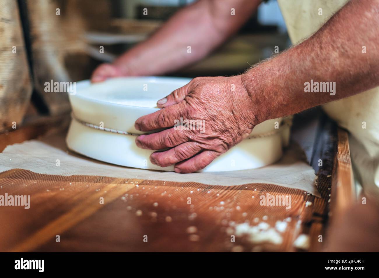 Herdsman's hands while preparing typical northern Italian cheese with ...