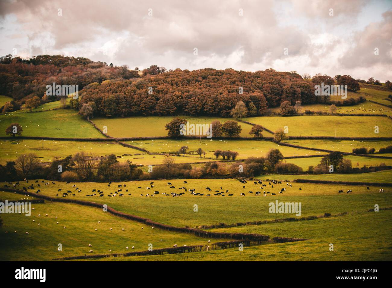 Diverse people countryside uk hi-res stock photography and images - Alamy