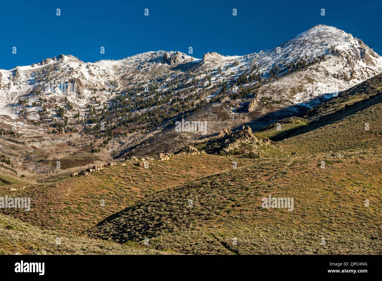 Humboldt mtn hi-res stock photography and images - Alamy