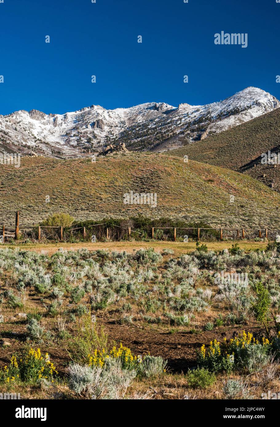 The old corral hi-res stock photography and images - Alamy